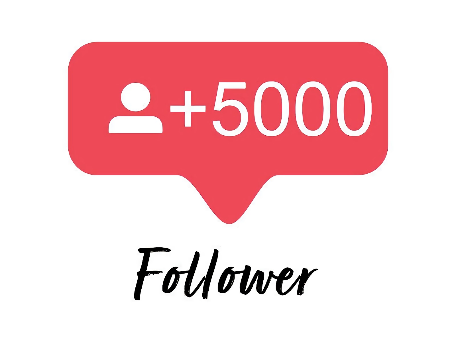 Cara Melihat Follower Tokopedia dan Tips Optimasi Fitur Feed - Ginee